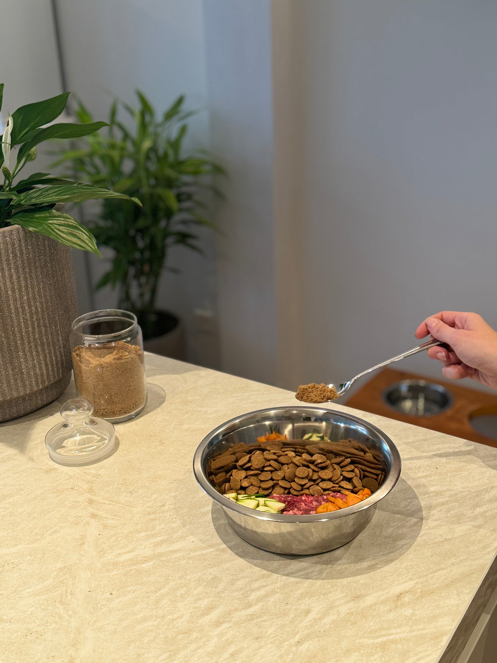 Tradidog Futterzusatz Hunde - Natürlich & Schweizer-Qualität