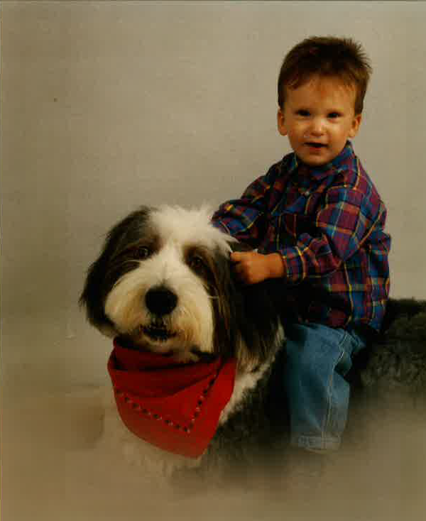 Über uns – tradidog